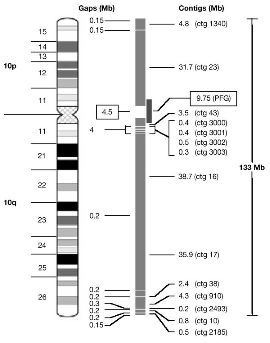The physical maps for sequencing human chromosomes 1, 6, 9, 10, 13, 20 ...