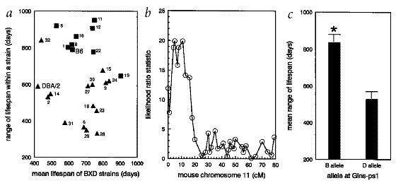 A putative gene causes variability in lifespan among genotypically ...