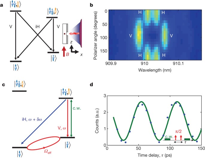 Quantum-dot spin–photon entanglement via frequency downconversion to ...