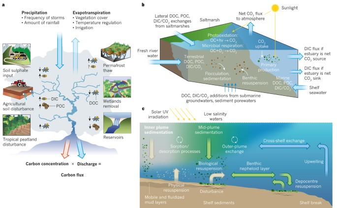 The changing carbon cycle of the coastal ocean | Nature