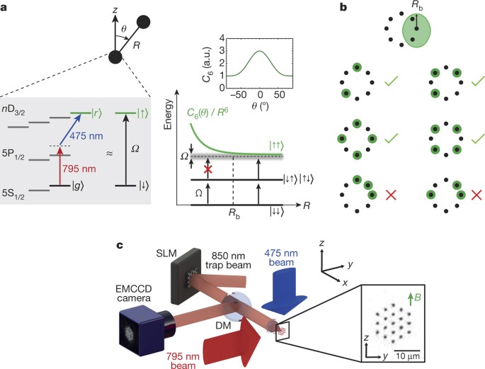 Tunable two-dimensional arrays of single Rydberg atoms for realizing quantum Ising models | Nature