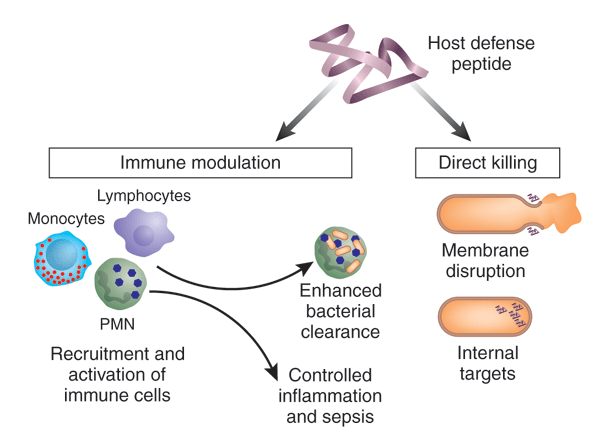 Antimicrobial and host-defense peptides as new anti-infective ...