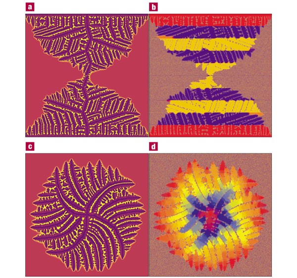 Growth of 'dizzy dendrites' in a random field of foreign particles ...