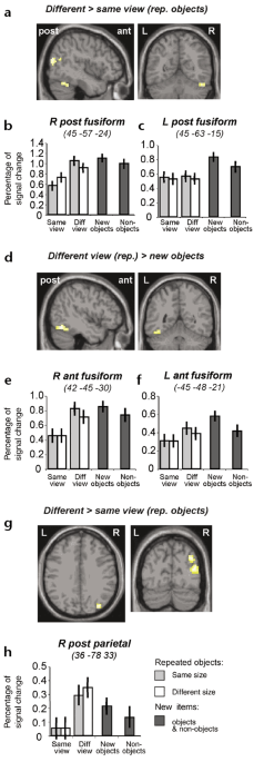Multiple levels of visual object constancy revealed by event-related ...