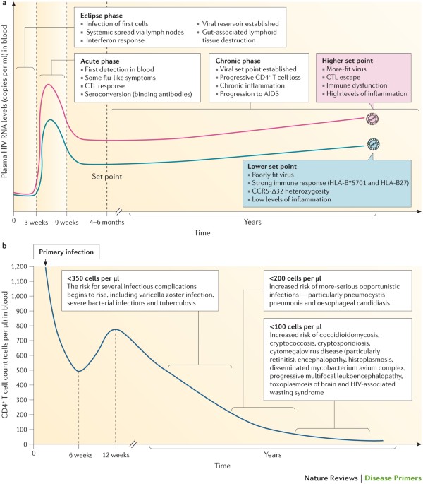 HIV infection | Nature Reviews Disease Primers