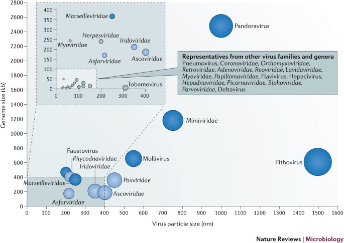 Mimivirus: leading the way in the discovery of giant viruses of amoebae ...