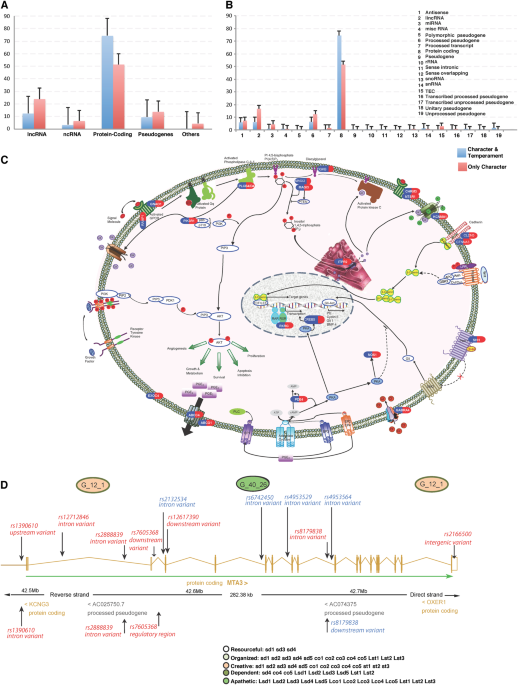 Uncovering the complex genetics of human character | Molecular Psychiatry