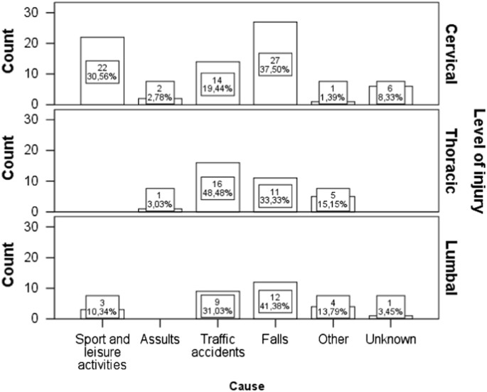 A profile of traumatic spinal cord injury and medical complications in ...