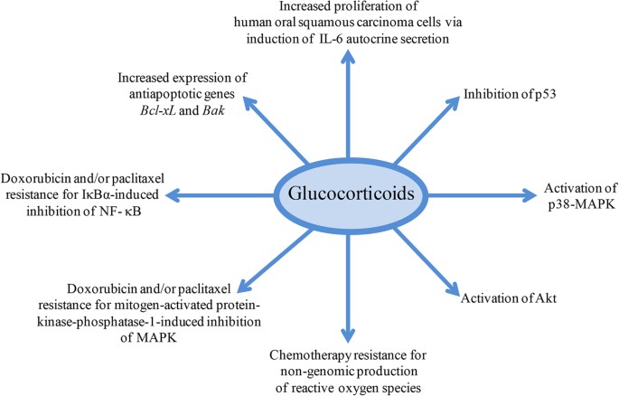 A dual role for glucocorticoid-induced leucine zipper in glucocorticoid ...