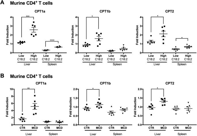 Carnitine palmitoyltransferase gene upregulation by linoleic acid ...