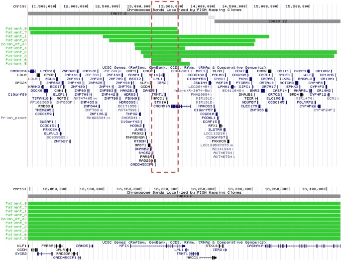 19p13 microduplications encompassing NFIX are responsible for ...