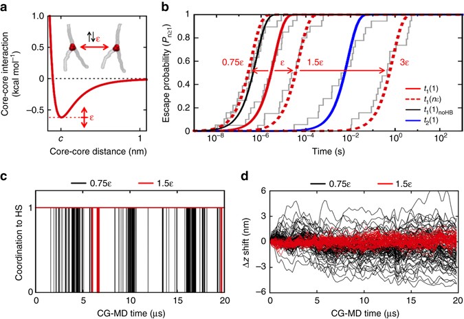 Into the Dynamics of a Supramolecular Polymer at Submolecular ...