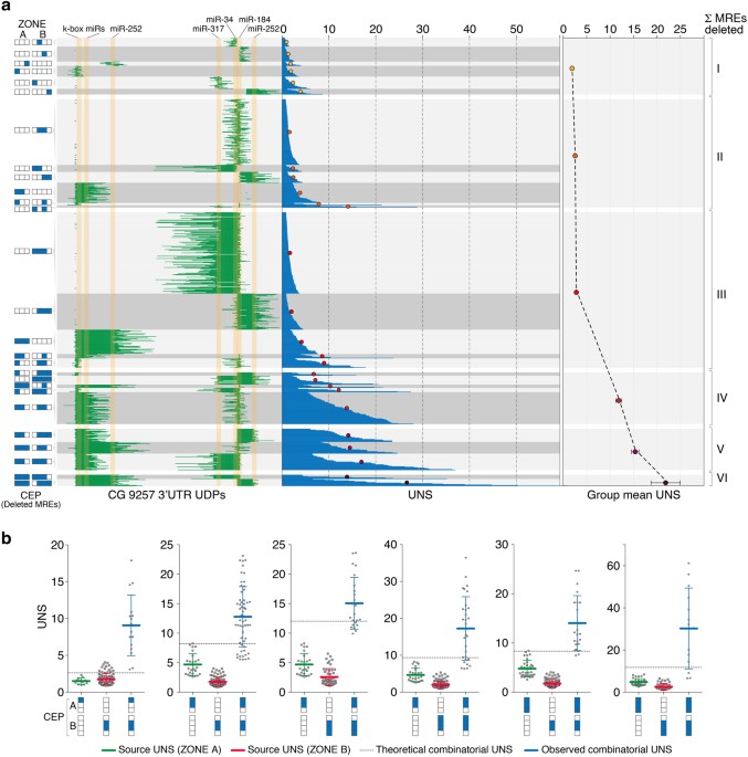 In situ functional dissection of RNA cis -regulatory elements by multiplex CRISPR-Cas9 genome ...