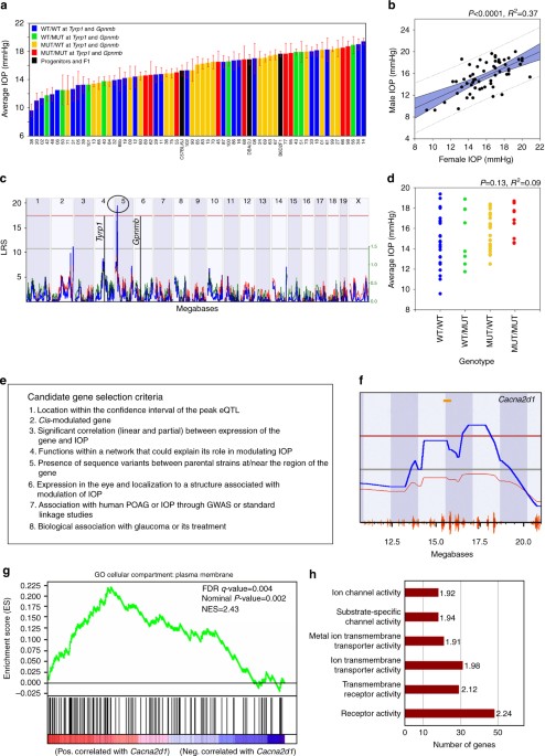 Systems genetics identifies a role for Cacna2d1 regulation in elevated ...