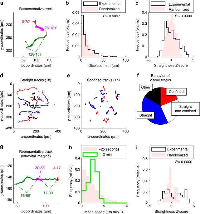 ROCK regulates the intermittent mode of interstitial T cell migration ...