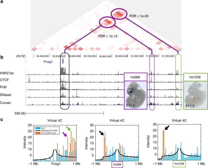 Promoter-enhancer interactions identified from Hi-C data using probabilistic models and ...