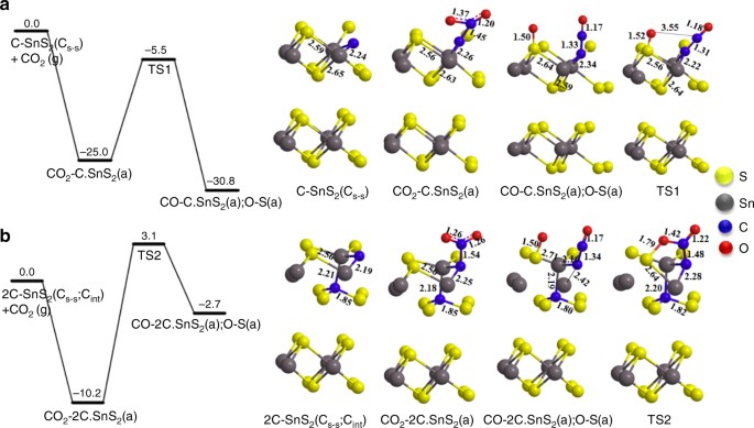 Carbon-doped SnS 2 nanostructure as a high-efficiency solar fuel ...