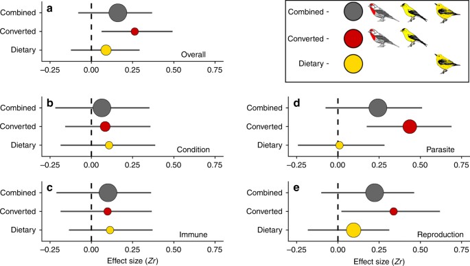 Carotenoid metabolism strengthens the link between feather coloration ...