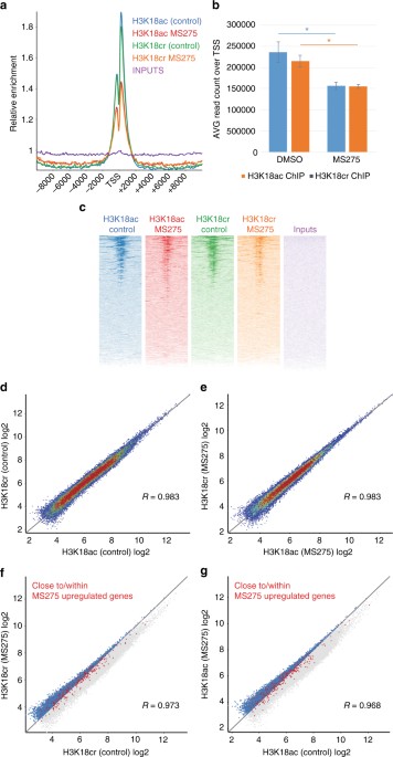 Microbiota derived short chain fatty acids promote histone ...