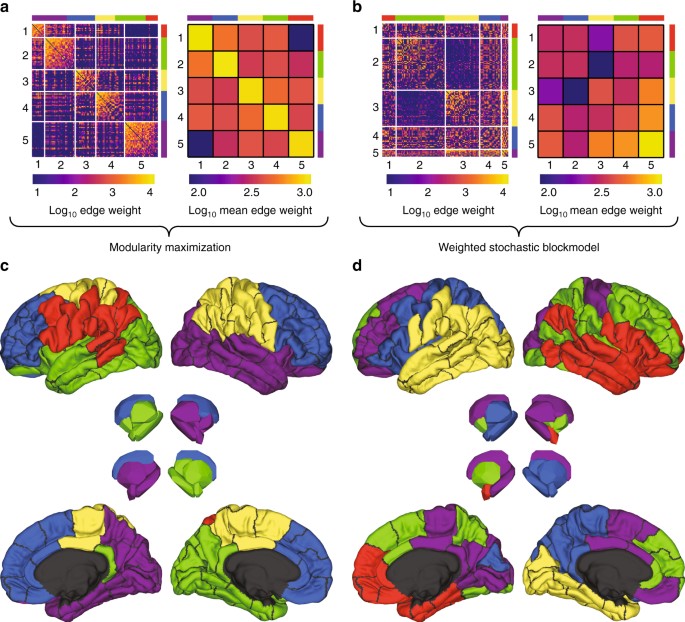 Diversity of meso-scale architecture in human and non-human connectomes ...
