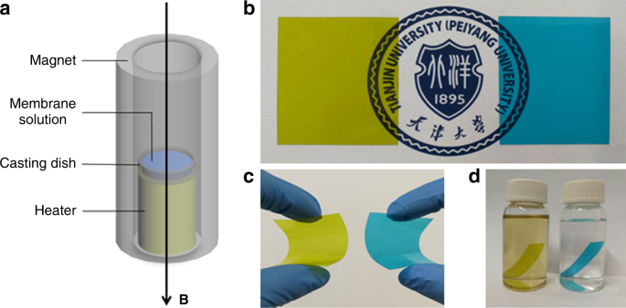 Magnetic field alignment of stable proton-conducting channels in an ...