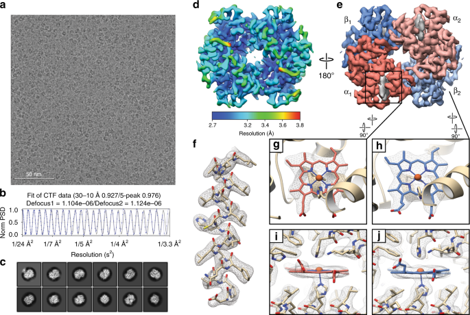 High-resolution structure determination of sub-100 kDa complexes using ...