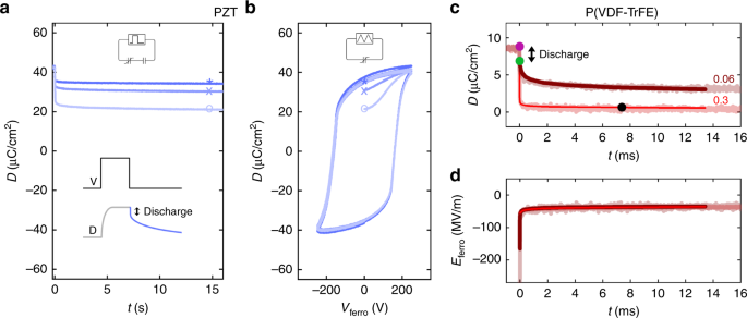 Depolarization of multidomain ferroelectric materials | Nature ...