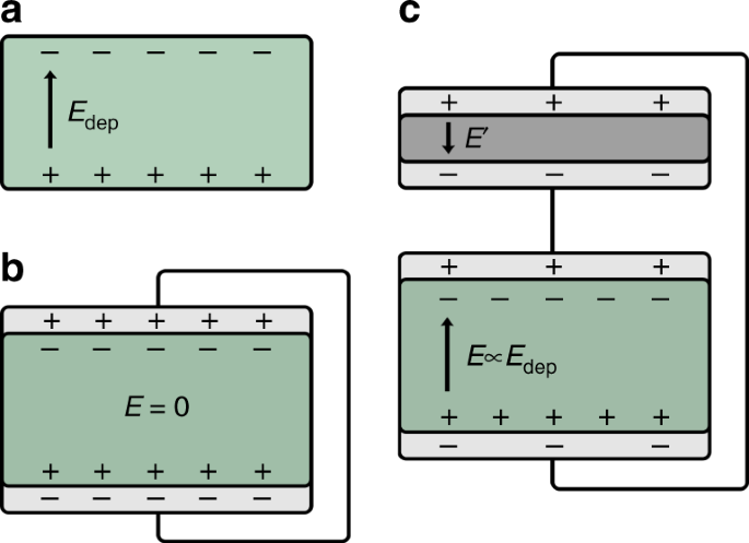 Depolarization of multidomain ferroelectric materials | Nature ...