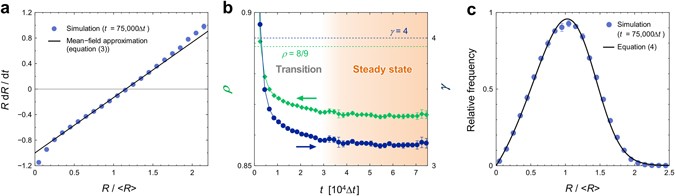 Ultra-large-scale phase-field simulation study of ideal grain growth ...