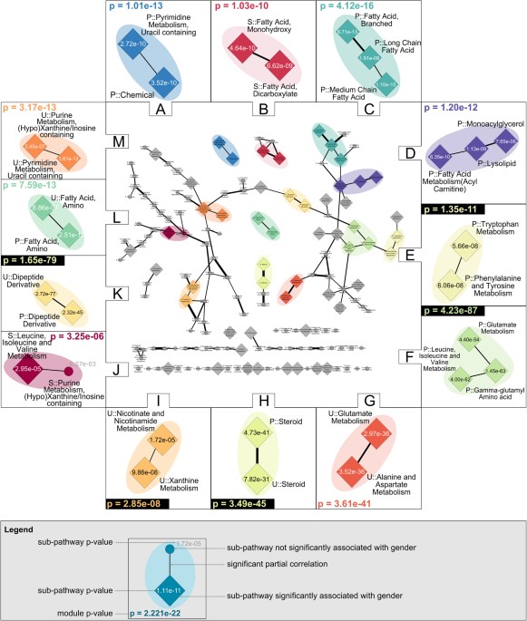 Phenotype-driven identification of modules in a hierarchical map of ...