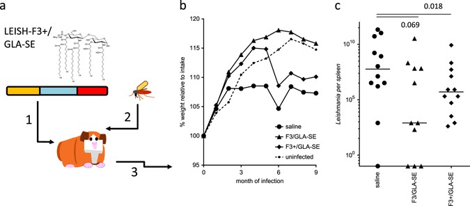A defined subunit vaccine that protects against vector-borne visceral ...