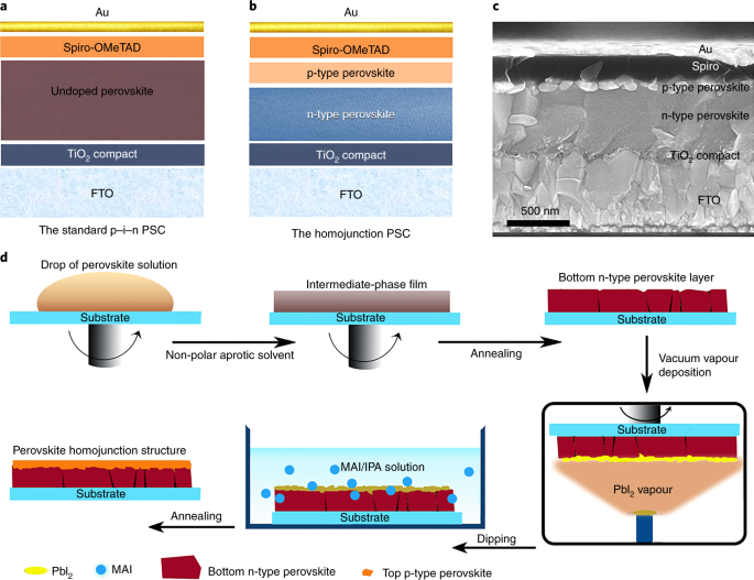 Planar p–n homojunction perovskite solar cells with efficiency ...