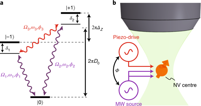 Phase-controlled coherent dynamics of a single spin under closed ...