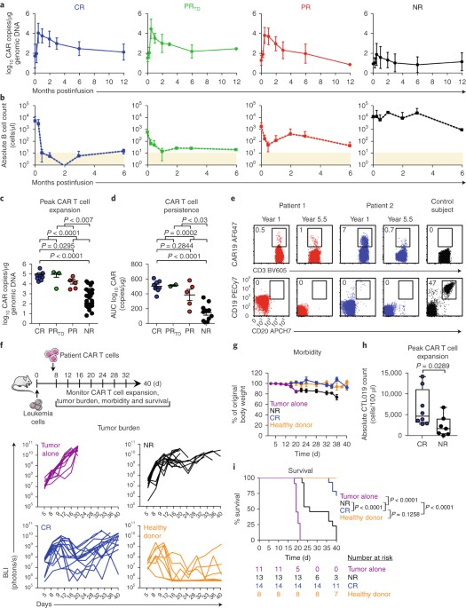 Determinants of response and resistance to CD19 chimeric antigen ...