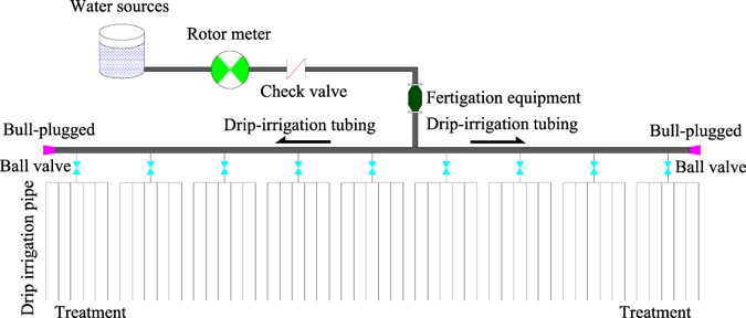 Evaluation of the effects of irrigation and fertilization on tomato ...