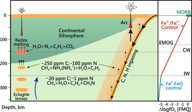 Carbon and Nitrogen Speciation in N-poor C-O-H-N Fluids at 6.3 GPa and ...