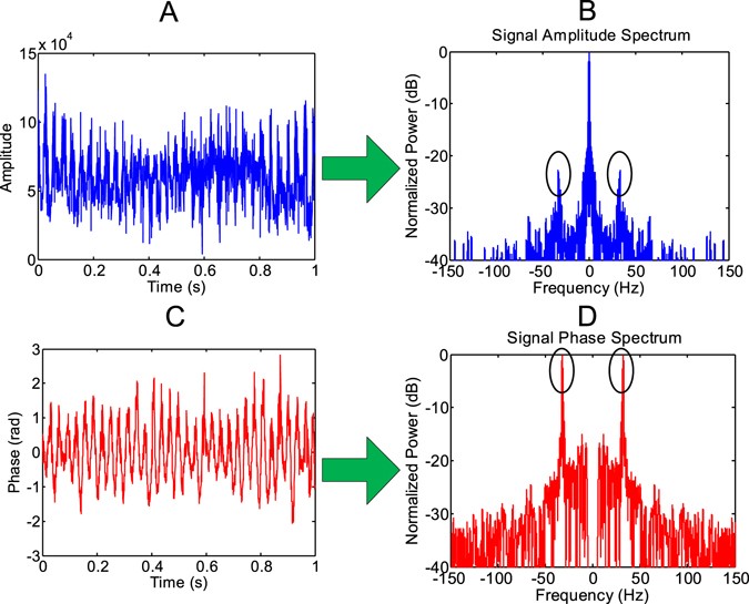 Micro-Doppler measurement of insect wing-beat frequencies with W-band ...