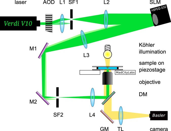 Thermally induced micro-motion by inflection in optical potential ...