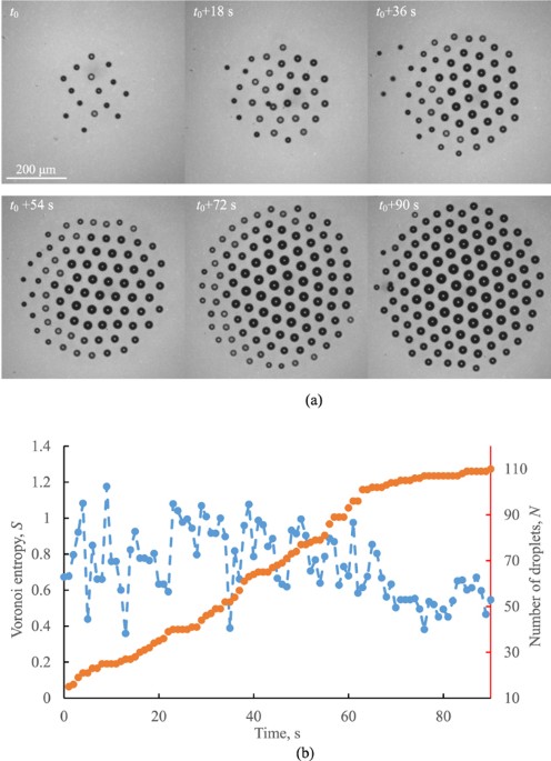 Self-assembled levitating clusters of water droplets: pattern-formation ...