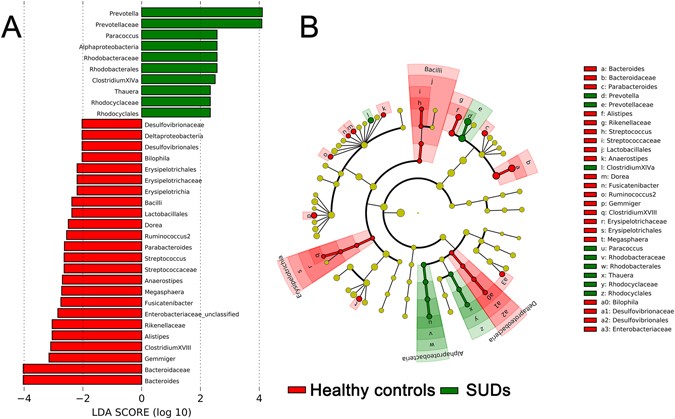 Bacterial Diversity of Intestinal Microbiota in Patients with Substance ...