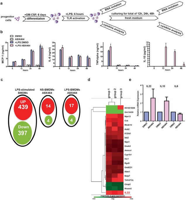 The Anti-Hiv Candidate Abx464 Dampens Intestinal Inflammation by ...