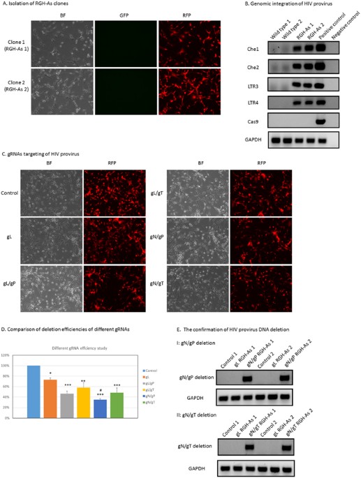 A CRISPR/Cas9 guidance RNA screen platform for HIV provirus disruption ...