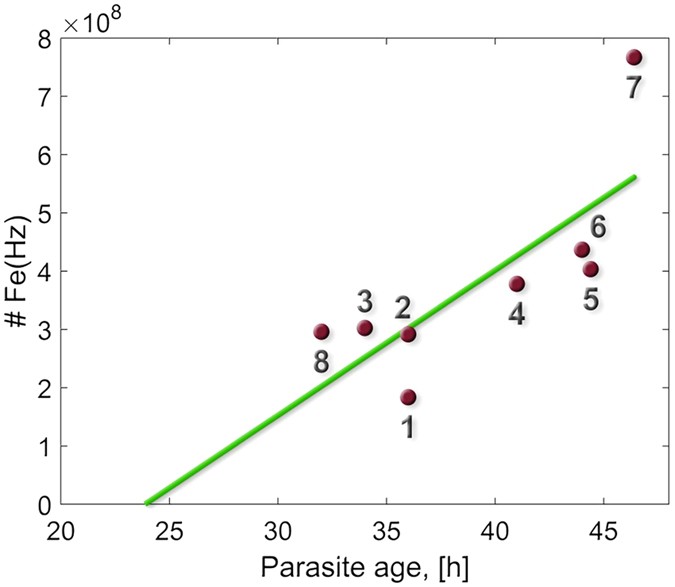 Unraveling heme detoxification in the malaria parasite by in situ ...