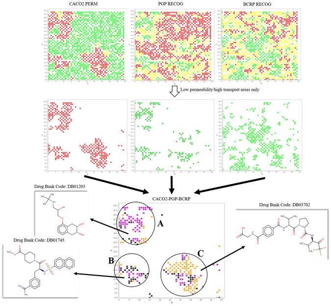 ADME-Space: a new tool for medicinal chemists to explore ADME properties | Scientific Reports