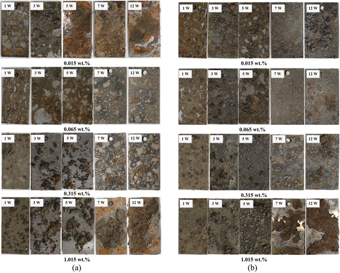 Effects of chloride ions on corrosion of ductile iron and carbon steel ...