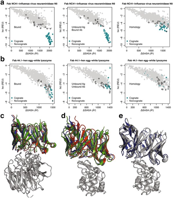 Structure-based cross-docking analysis of antibody–antigen interactions | Scientific Reports
