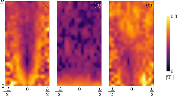 Dynamic X-ray radiography reveals particle size and shape orientation ...