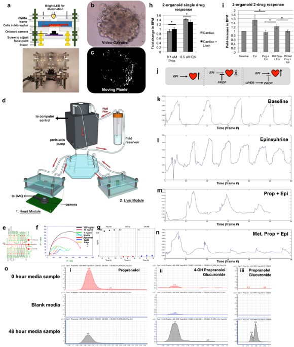 Multi-tissue interactions in an integrated three-tissue organ-on-a-chip ...