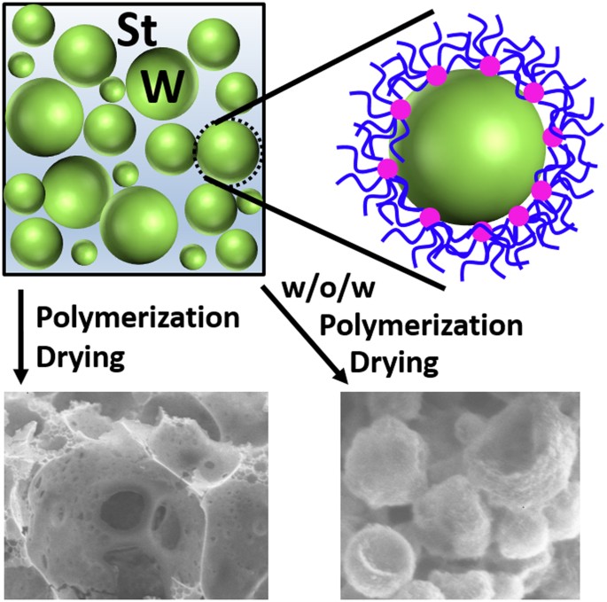 Porous Polystyrene Monoliths and Microparticles Prepared from Core ...
