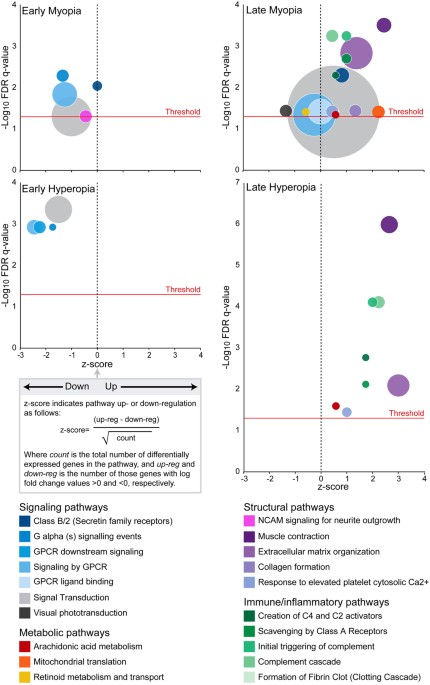 Novel evidence for complement system activation in chick myopia and ...